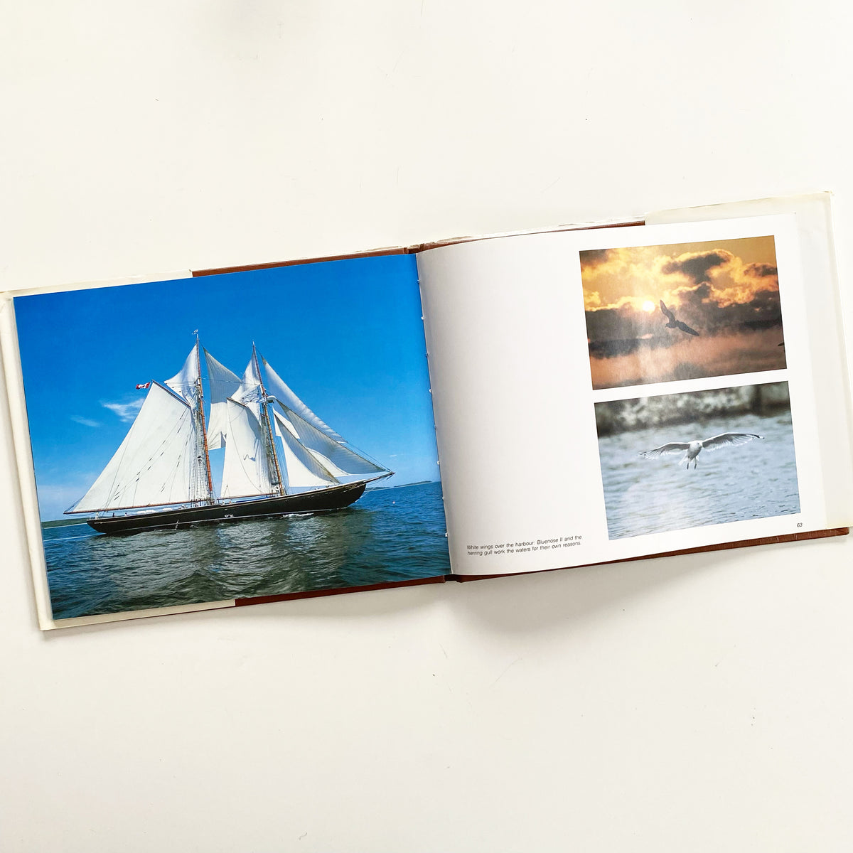 Dartmouth by Sherman Hines – What These Old Things NS